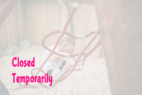 Homepage - Kidzworld Cornwall